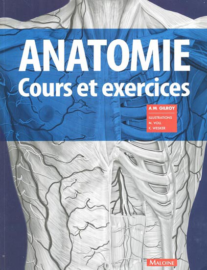 Anatomie - MALOINE - 9782224033880